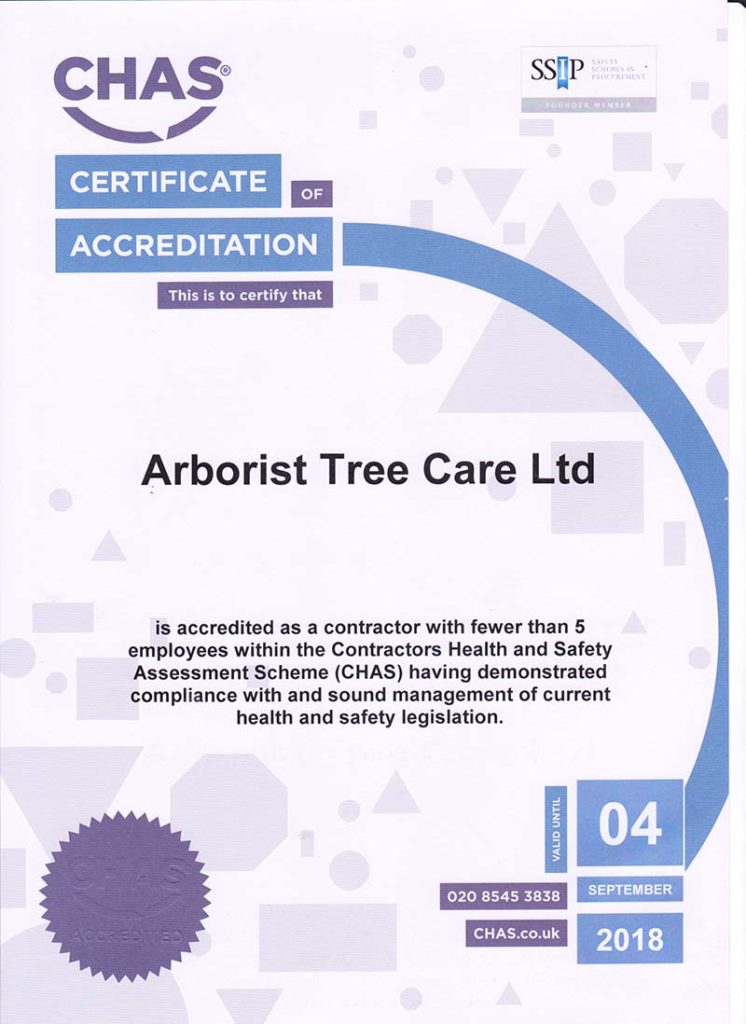 Arborist Tree Care are a team of friendly and professional tree ...